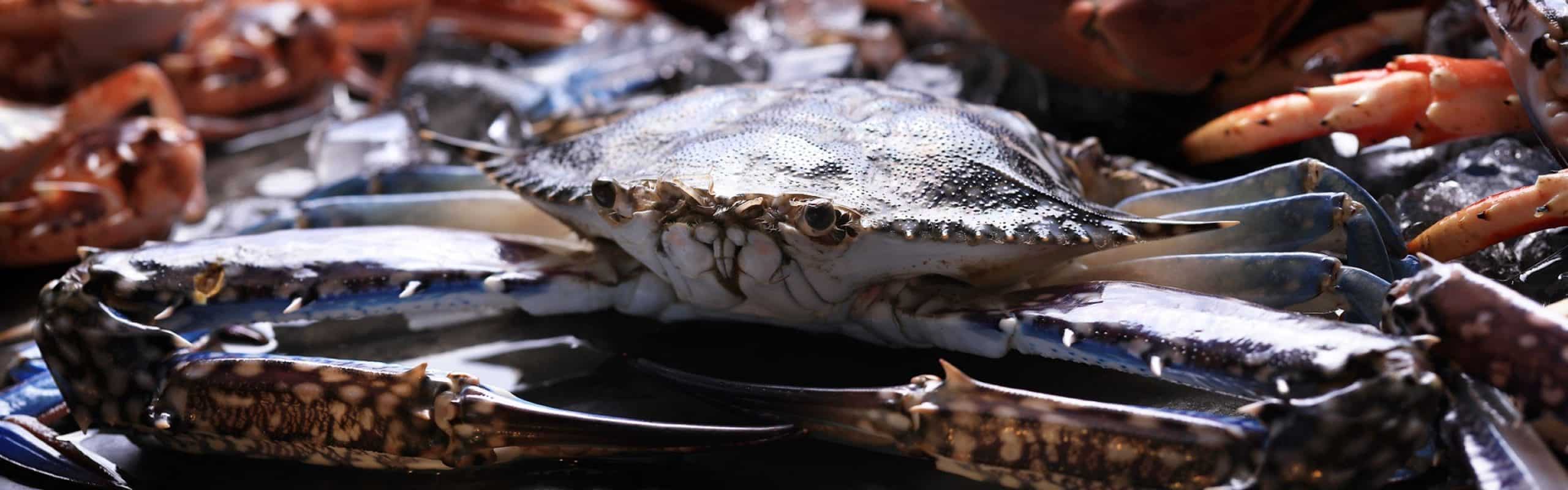 Catch the Crab - Yamm's Monthly Dinner Buffet | The Mira Hong Kong