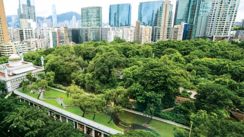 Nature Discovery Bird Watching Walks At Kowloon Park The Mira Hong Kong