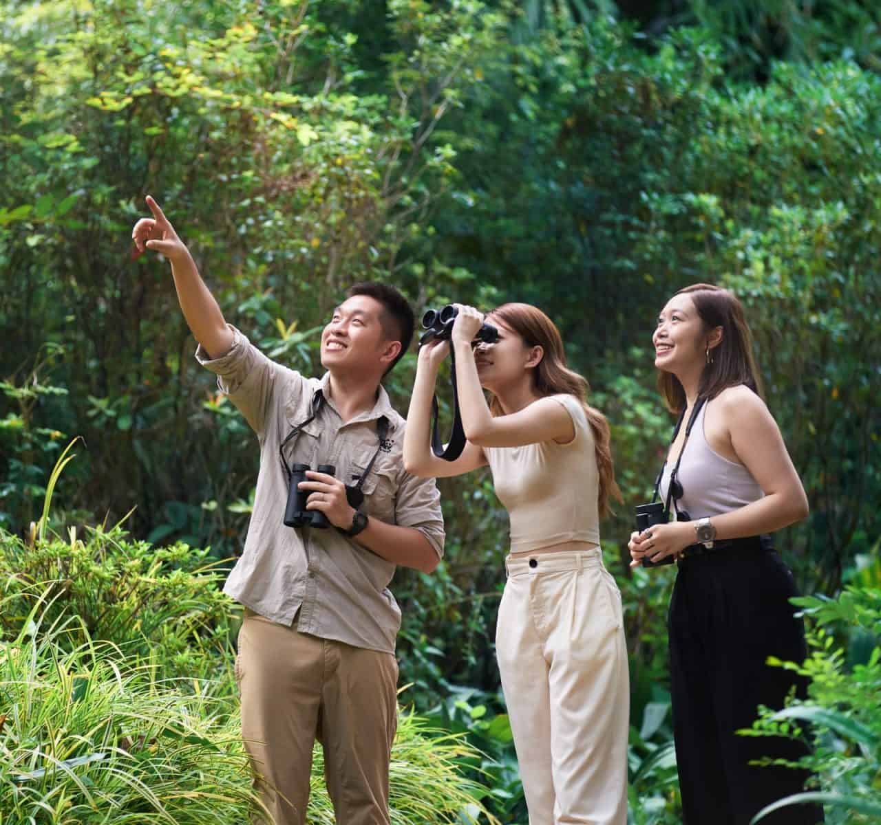 Nature Discovery Bird-watching Walks at Kowloon Park | The Mira Hong Kong